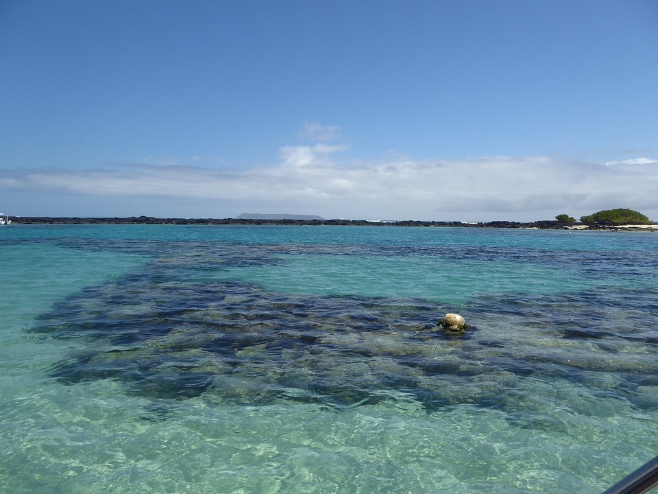 Helder water | Foto | Grensjeverleggen