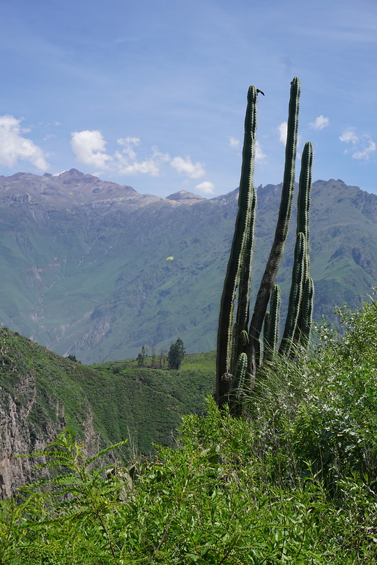 Pakkend Peru | Reisverhaal | Hans Erkens reisblog