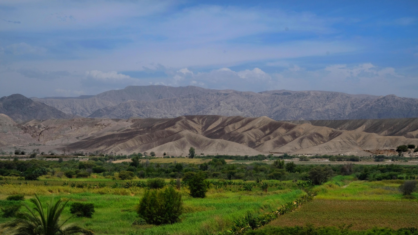 Woestijn en oase | Foto