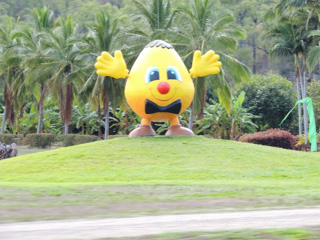 Frosty Mango! | Foto | Heidiendomidownunder