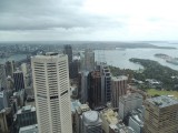 Observation Deck Eye Tower: Harbour Bridge | Foto | Heidiendomidownunder