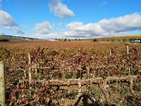 Mooi schoon hooi | Foto | Wil en Henk pelgrimage Via Podiensis GR 65