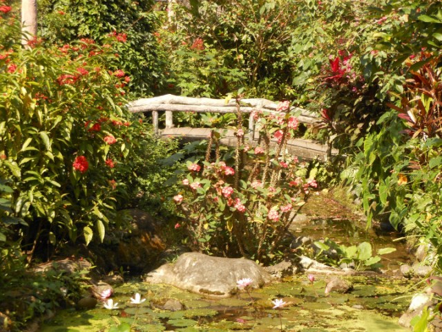 25-6-12 In de vlindertuin, Sesandan in de buurt van Tabanan | Foto ...