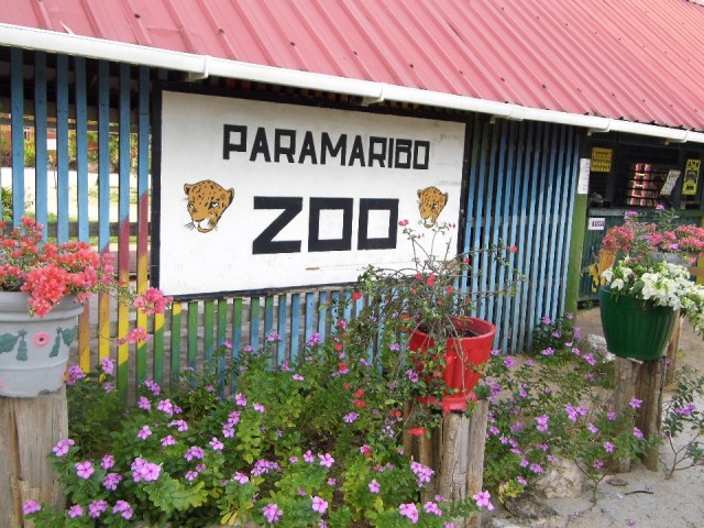 paramaribo zoo | Foto | Ilse in Suriname