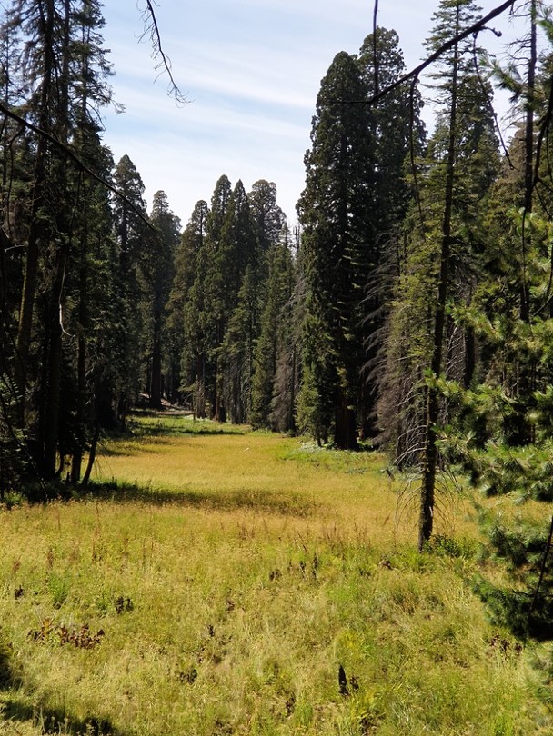 Circle Meadow | Foto | Den Ouden’s reisblog