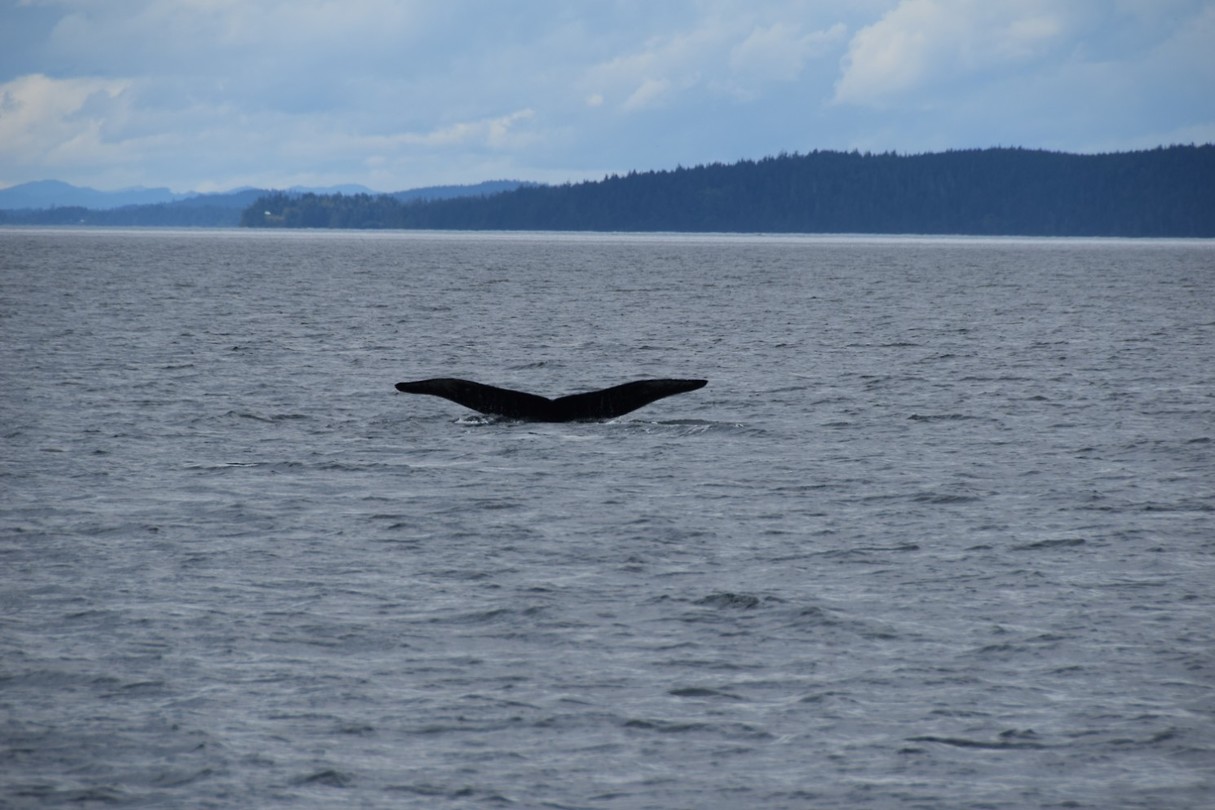 doei | Foto | Jacco en Hennie’s reisblog