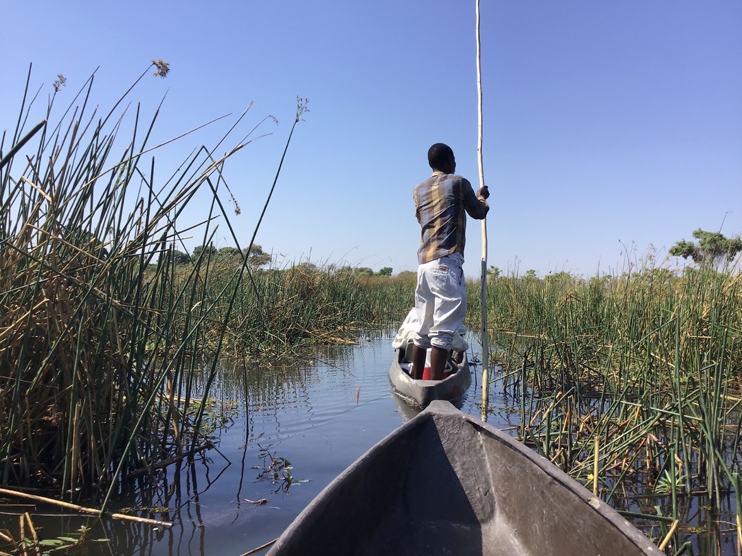 Okavango delta | Reisverhaal | Jan en Marleen van der Heide’s reisblog