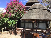 Okavango delta | Reisverhaal | Jan en Marleen van der Heide’s reisblog