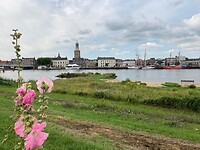 Naar de oorsprong van de Rijn