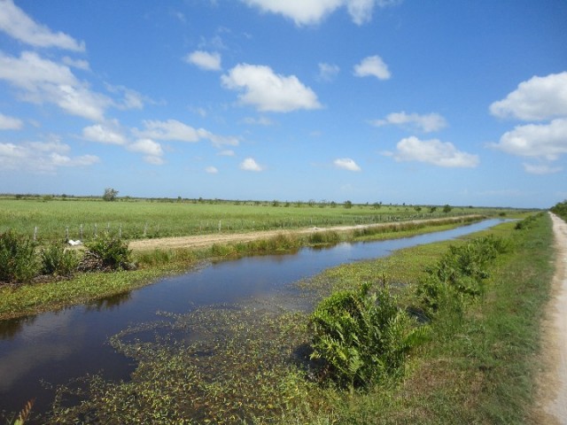 De rivier met mooi uitzicht over de plantage | Foto | Jeroen en Anouk ...