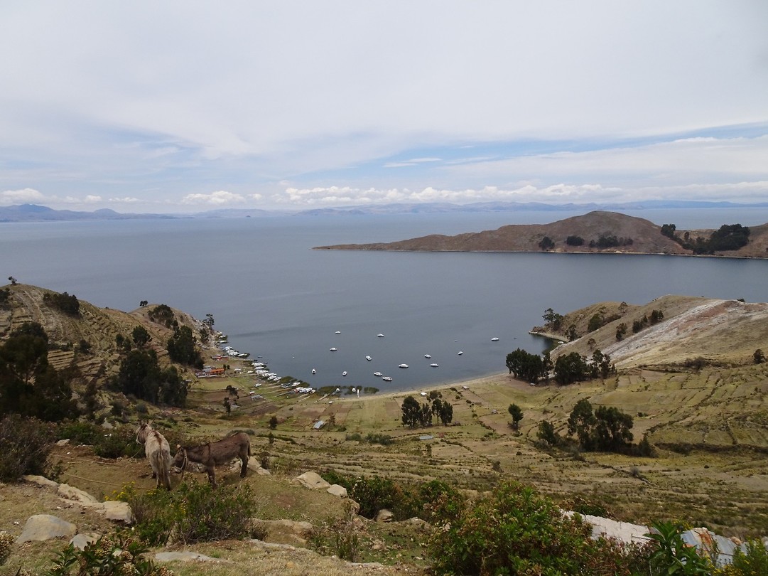 Titicacameer en La Paz | Reisverhaal | Judith in Zuid-Amerika