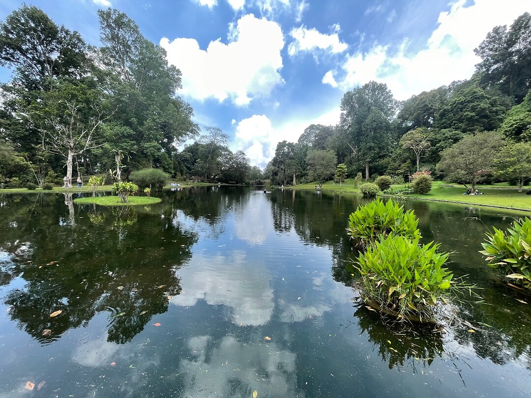 010. Air Terjun Curug Ciismun Kebun Raya Cibodas | Foto ...