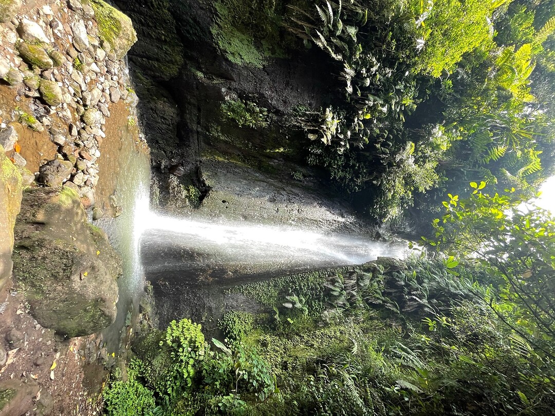 008. Air Terjun Curug Ciismun Kebun Raya Cibodas | Foto ...