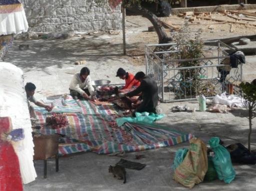 Slachten van een koe!?! | Foto | Laurens en Petra op reis door Azië