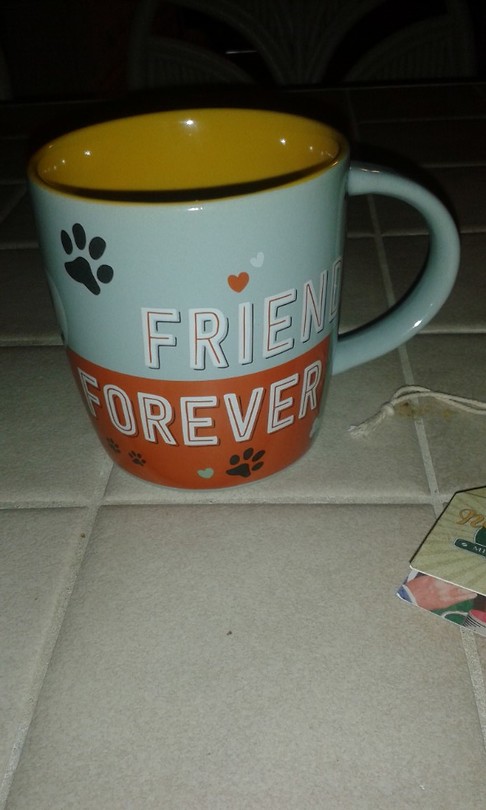 Month two.. Patiri | Reisverhaal | Ecuador