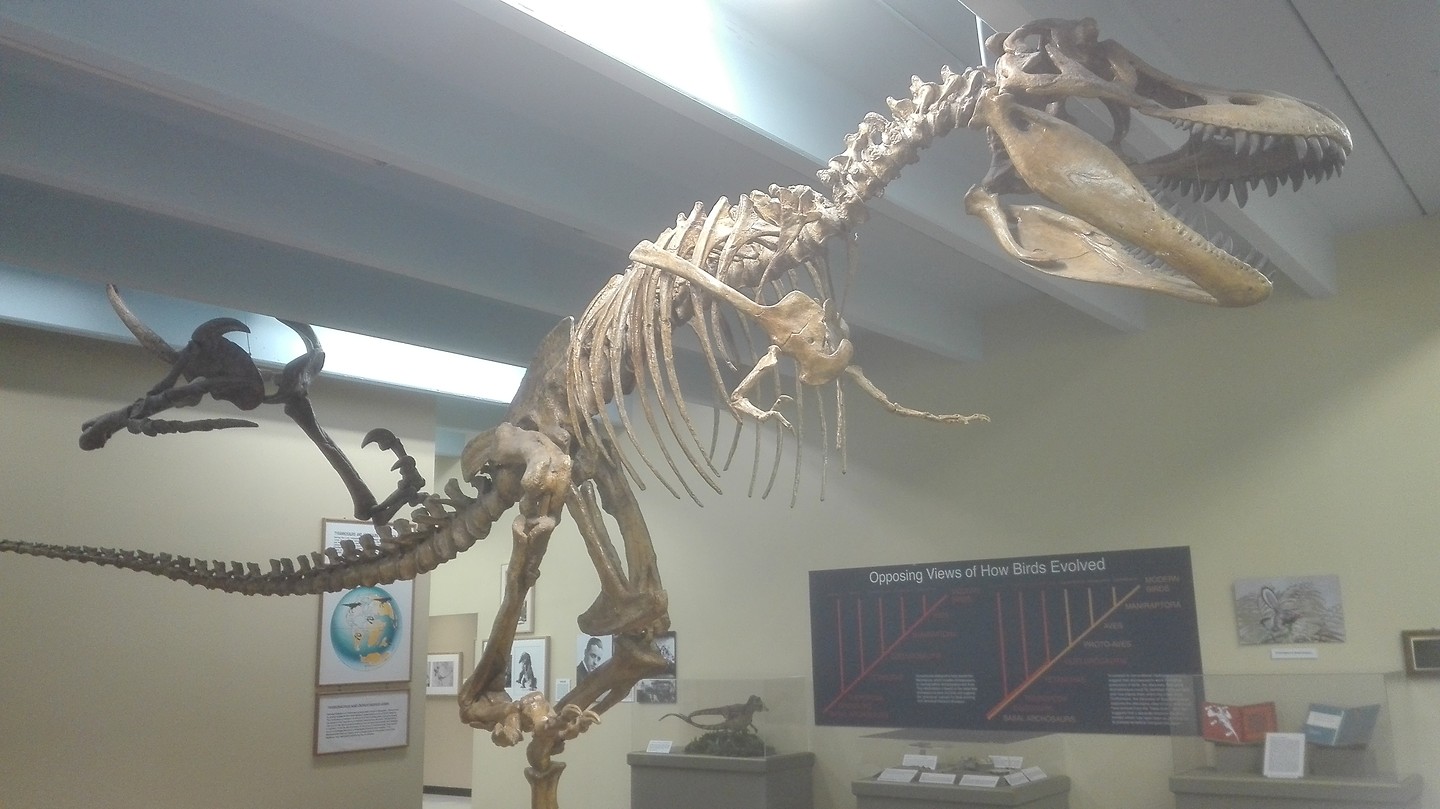 Monument Valley | Reisverhaal | Louis Goossens’s reisblog