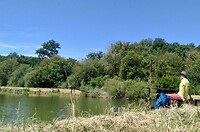 IMG_20200724_120653 | Foto | De Via Francigena-reisblog van Luc De ...