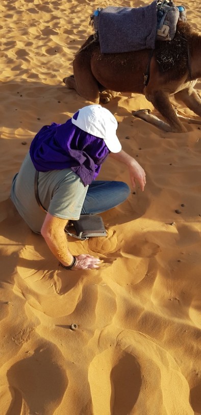 Reisje: dag 4 en 5 | Reisverhaal | Luca van dam’s reisblog