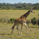 Zuid-Afrika | Foto's | Luca van dam’s reisblog