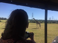 Zuid-Afrika | Foto's | Luca van dam’s reisblog