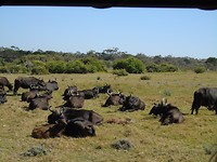 Zuid-Afrika | Foto's | Luca van dam’s reisblog