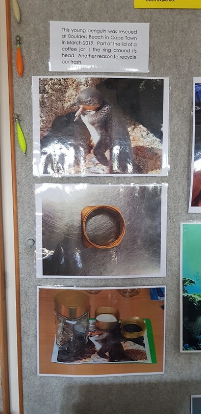 Zuid-Afrika | Foto's | Luca van dam’s reisblog