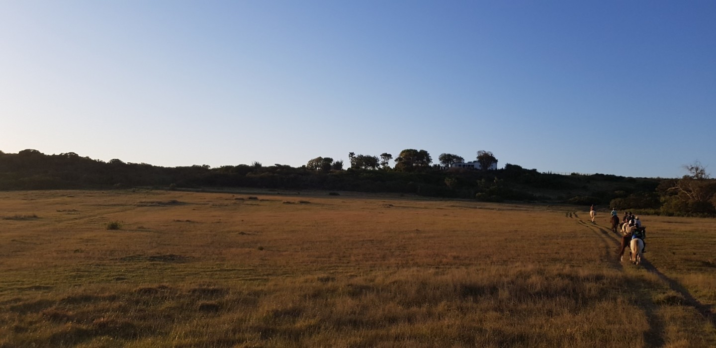 Zuid-Afrika | Foto's | Luca van dam’s reisblog