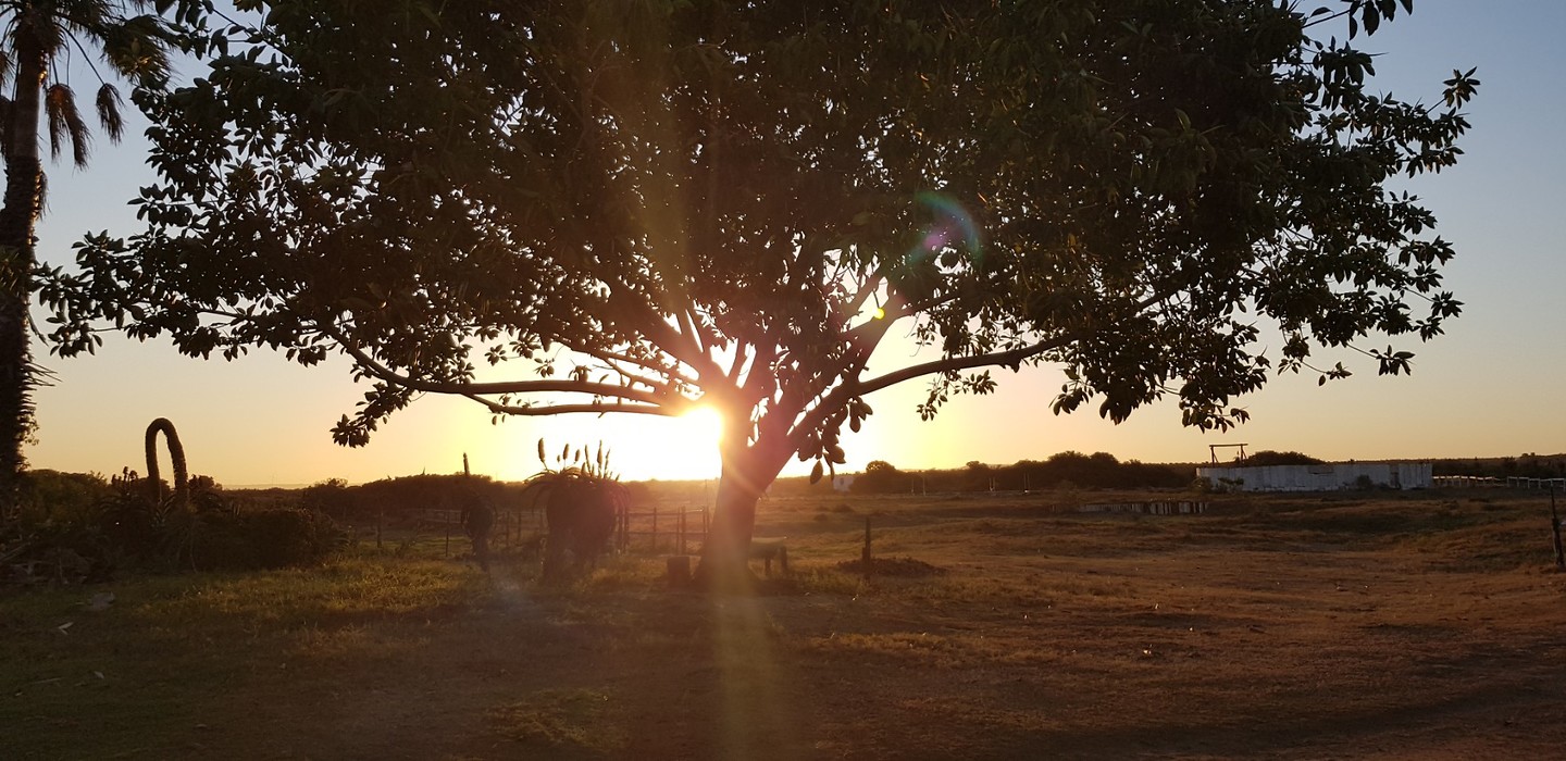 Zuid-Afrika | Foto's | Luca van dam’s reisblog