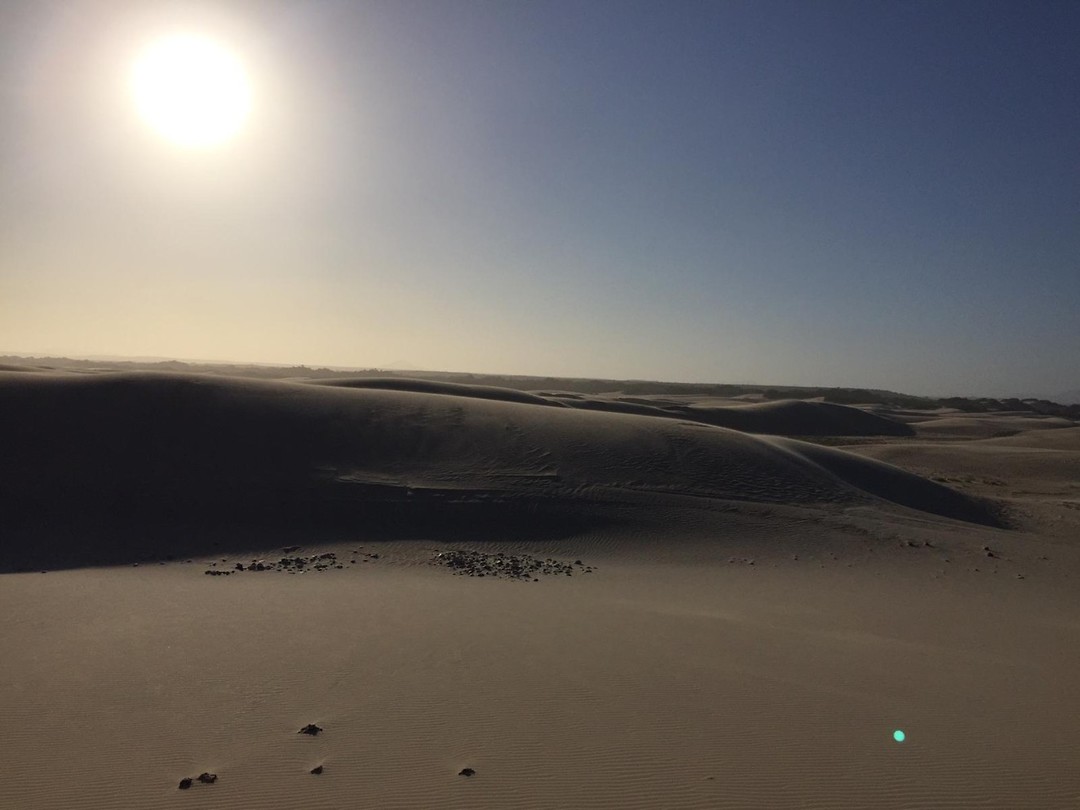 Zuid-Afrika | Foto's | Luca van dam’s reisblog