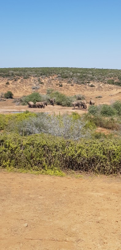 Zuid-Afrika | Foto's | Luca van dam’s reisblog