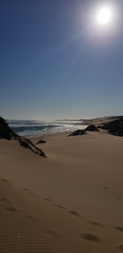 Zuid-Afrika | Foto's | Luca van dam’s reisblog