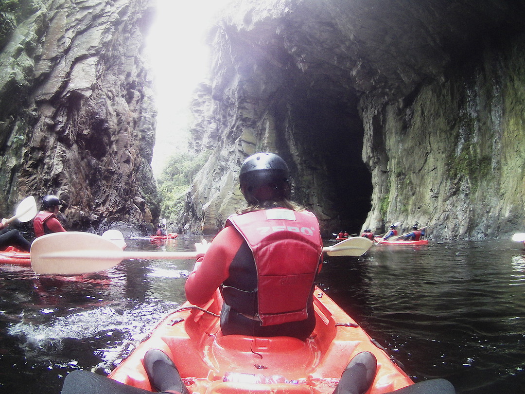 Zuid-Afrika | Foto's | Luca van dam’s reisblog