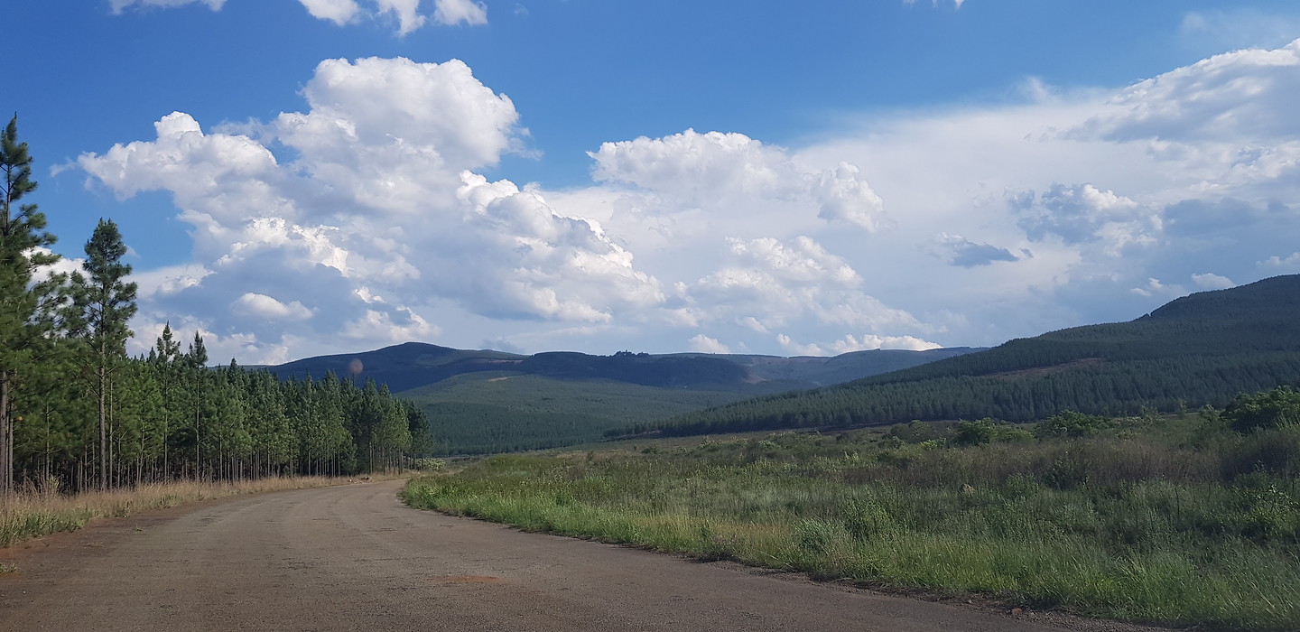 Resideren; week 12 | Reisverhaal | Luca van dam’s reisblog