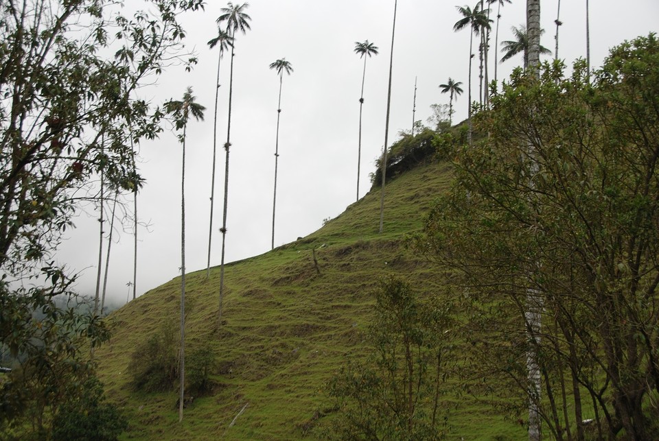 Valle de Cocoro | Foto | Maarten & Marjon's reisblog