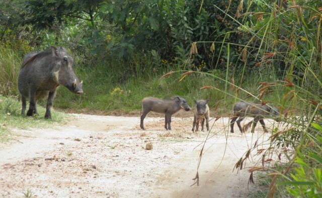 Kragga Kamma | Foto | Make dreams in Africa!