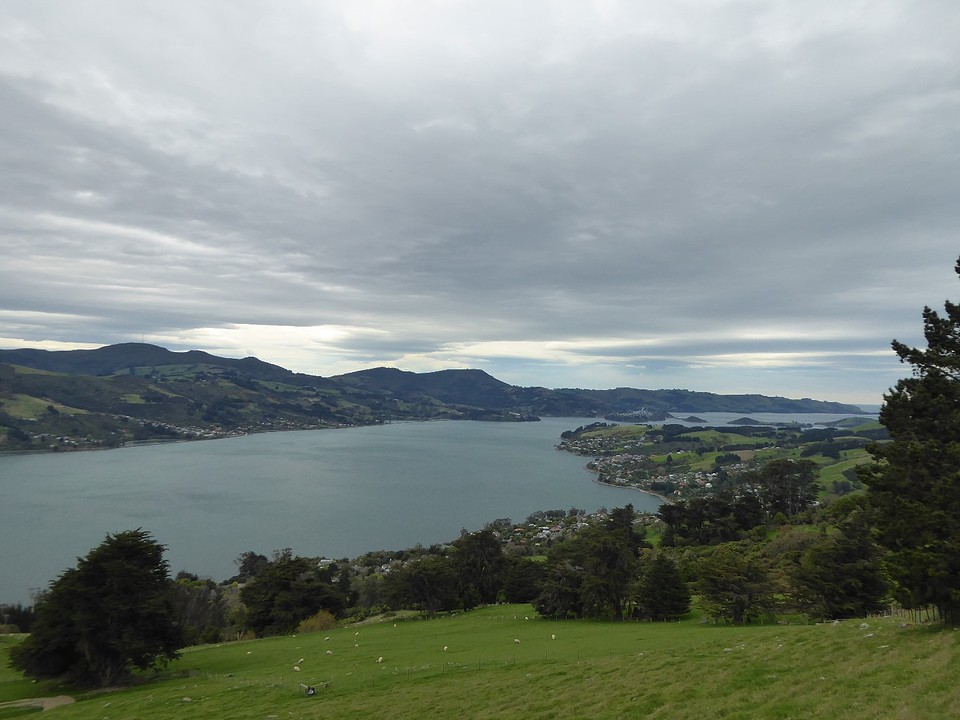 skyline Otago Peninsula - Dunedin | Foto | Marjan op reis