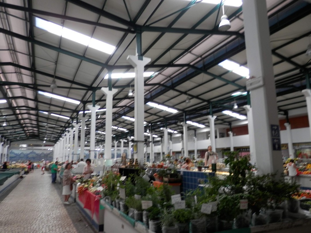 Internationale roots | Reisverhaal | Martijn Timmer’s reisblog