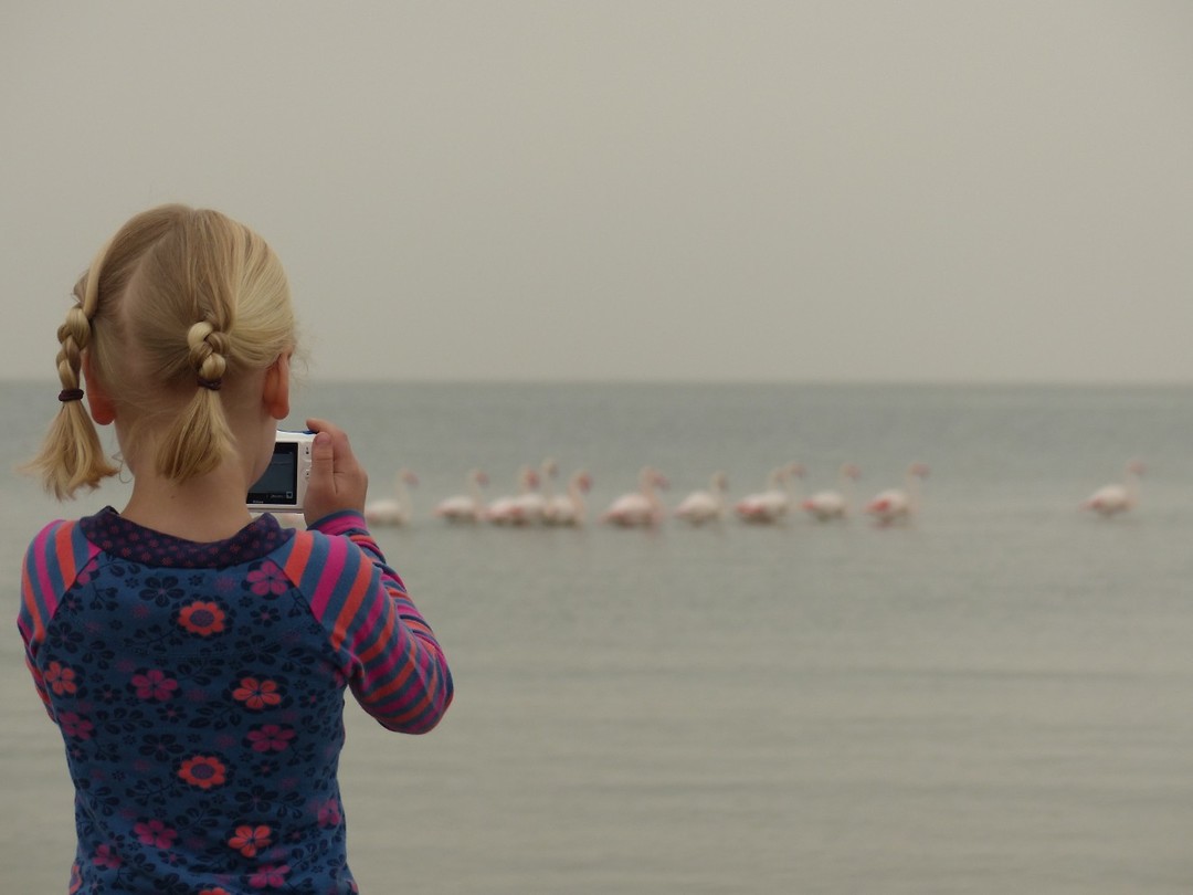 Walvisbaai - Spitzkoppe: alleen op de wereld | Reisverhaal | Martijn ...