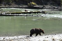 Into the wilderness | Reisverhaal | Mark en Claudia’s reisblog