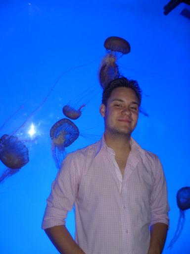 De grootste kwal staat in het midden BUAHAHMUAHHH | Foto | Michiels ...