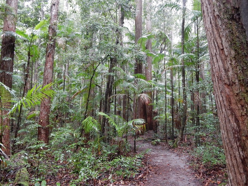 Fraser Island | Foto's | Minke’s reisblog