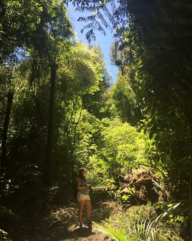 dikke pad | Foto | Mirjam sijtsma’s reisblog