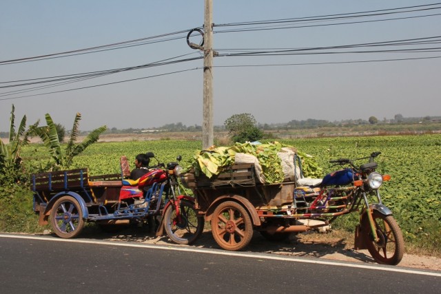 Transportkarretjes voor de tabakoogst | Foto | Nel en John van Loon’s ...
