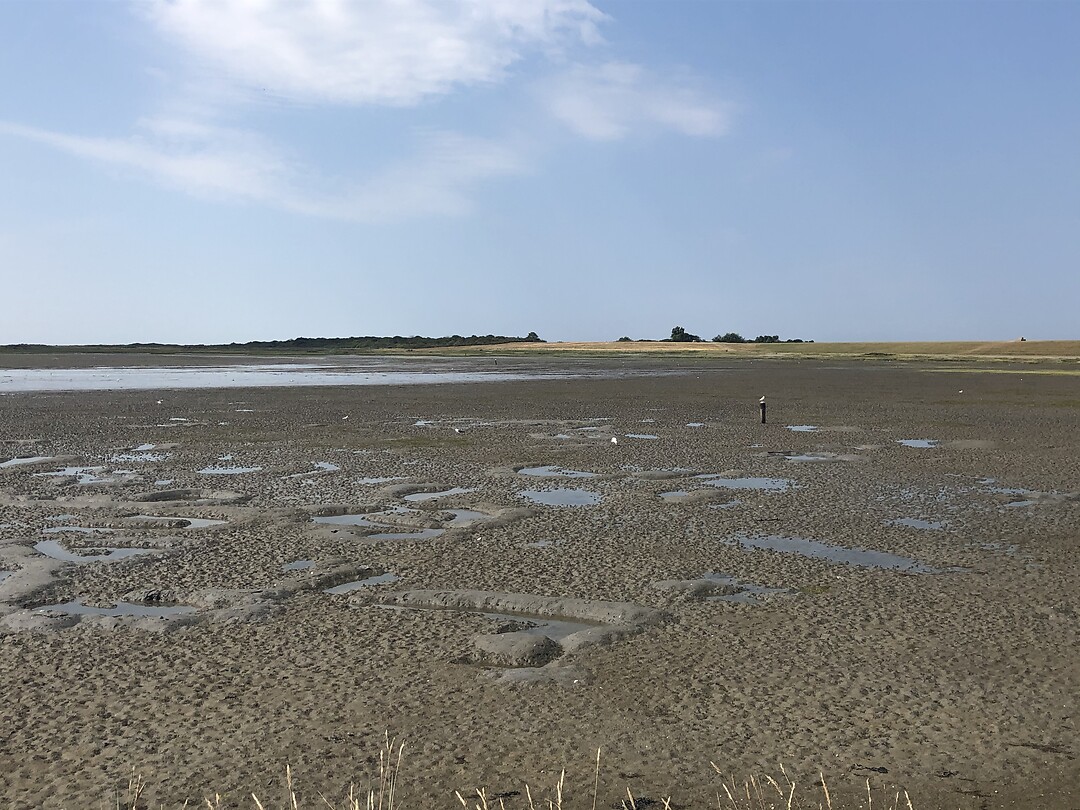 Vloed | Foto | Reisverhalen van Wolter & Conny