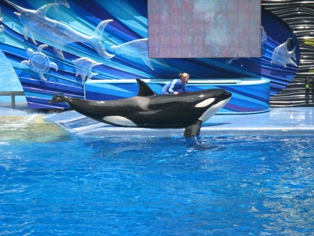 Orka show | Foto | Mark, Judith, Justin en Colin.....Rondreis Zuidwest ...