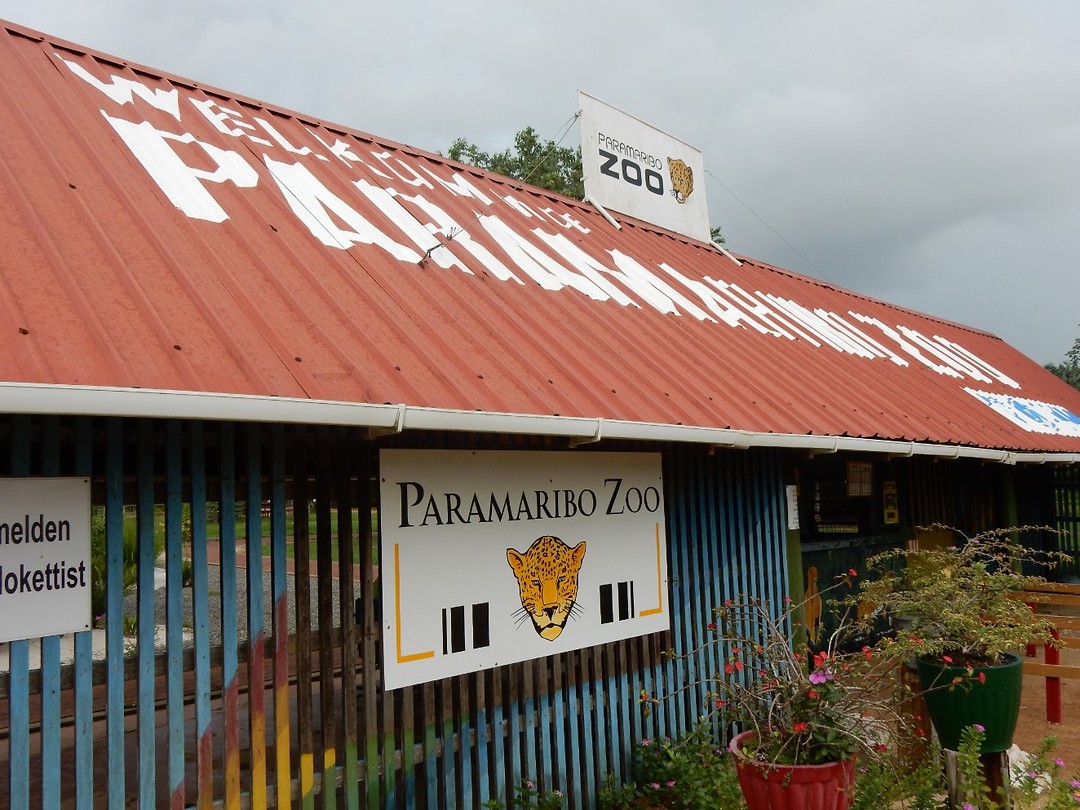 Paramaribo Zoo | Foto | Pam Krantzen’s reisblog