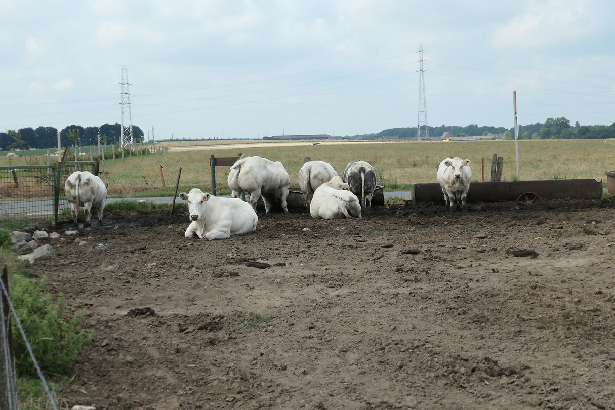 Saint Severin Foto's | Reislogger