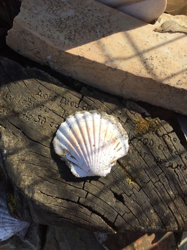 Groeten uit Frankrijk | Reisverhaal | Pelgrim Sjaak