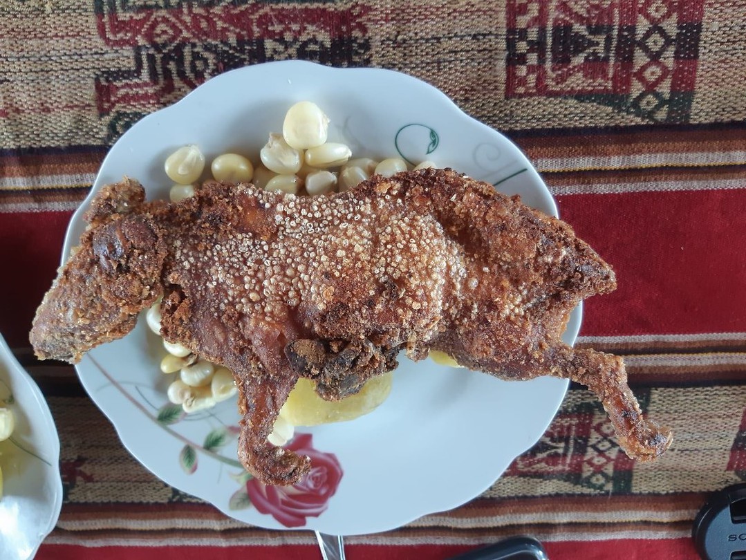Cuy = cavia | Foto | Peru2018’s reisblog