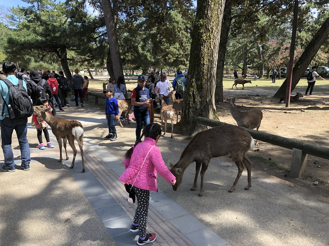 Herten en Boeddhisten | Reisverhaal | Peter Botman’s reisblog